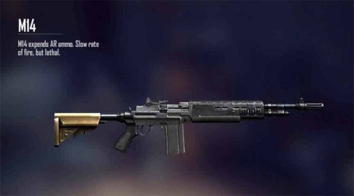 5 Best Assault Rifles in Free Fire, Beginner Players Must Try This!