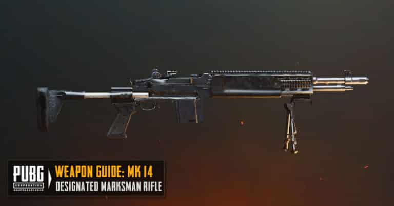 5 Best DMR Weapons in PUBG Mobile 2021, You Must Try These!