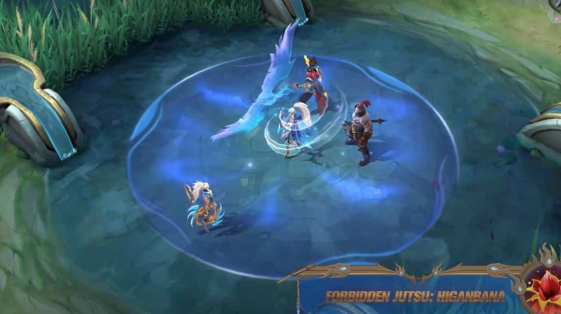 Skin Collector Hanabi: Graphic Display and Comparison