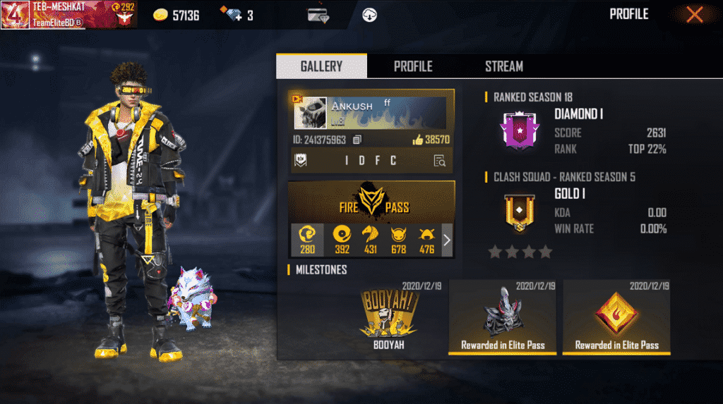 FF Color Code, Let's Make Your Profile Full of Color