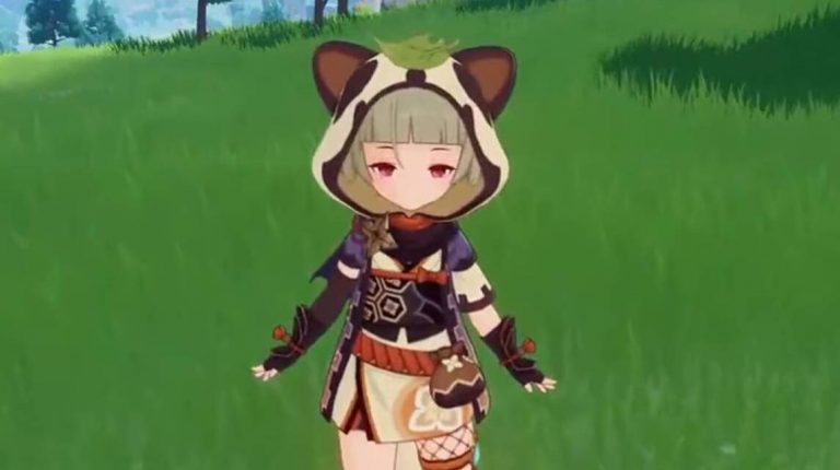 Genshin Impact's Sayu Build, Perfect for Support and Healers!