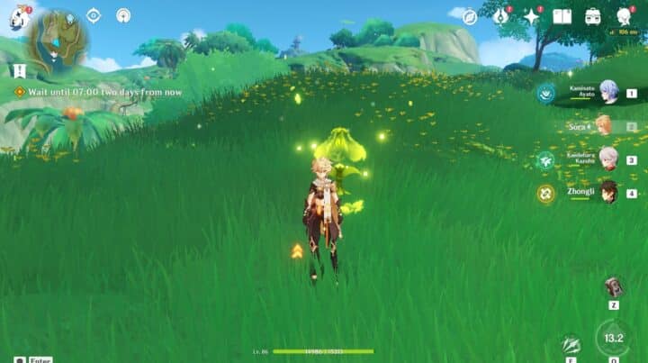 Build Dendro Traveler Genshin Impact: Skills to Party