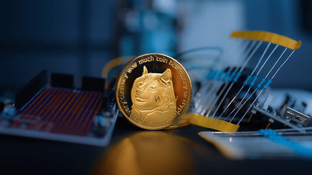 Project Baby Doge, 인기 코인 밈!