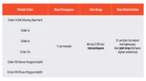 Explanation of Shopee PayLater: Pros and Cons