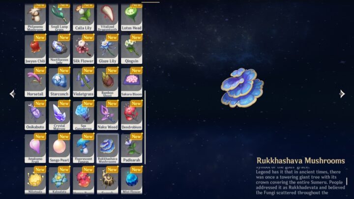 Details of Rukkhadevata Missing After Archon Quest Genshin Impact