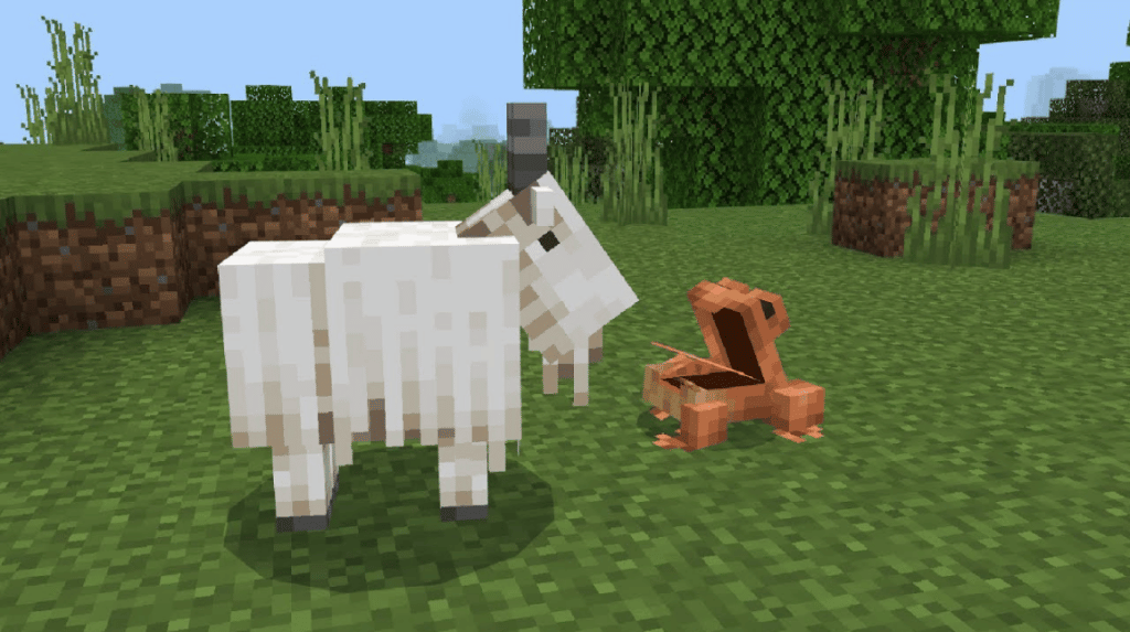 Alles, was Sie über Minecraft-Frösche wissen müssen
