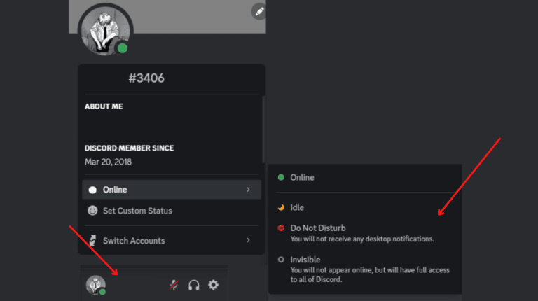 How to Use and Change Discord Status 2023