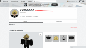 Cara Mengganti Nama Tampilan di Roblox, Sangat Mudah!