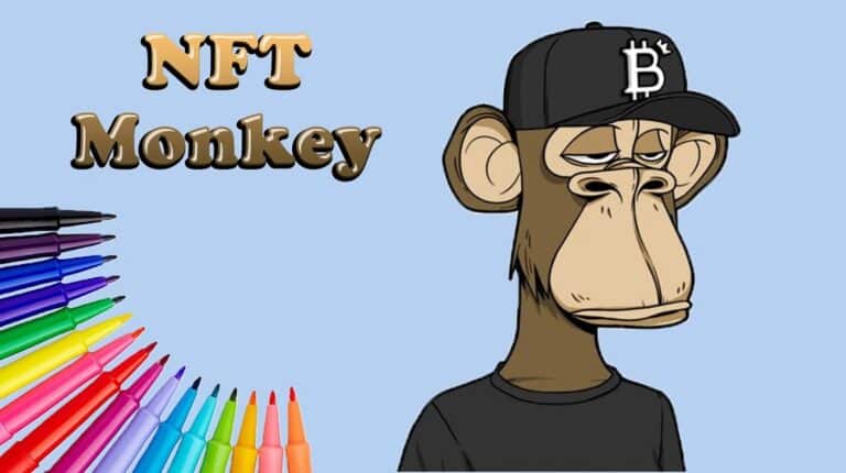 Get to Know the NFT Monkey, which Has Fantastic Prices!
