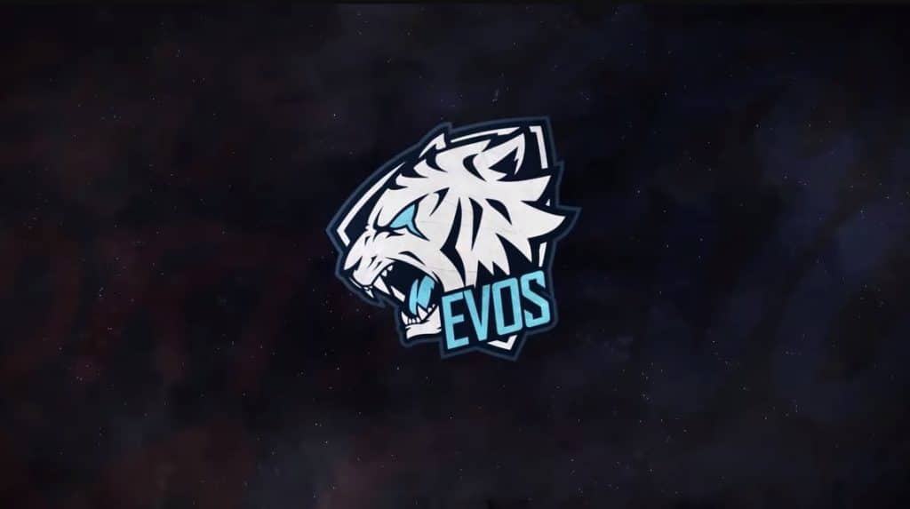 Evos Fams Profile, As Evos' Best Superfans!