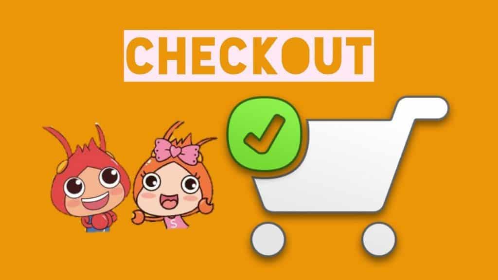 Meaning of Check Out in Buying and Selling Online? Must Know!