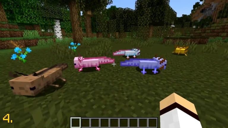 Semua Yang Perlu Kamu Tahu Dari Axolotl Minecraft