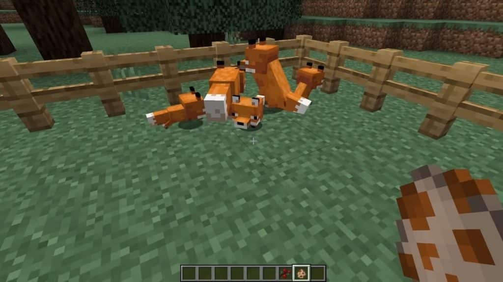 Everything You Need to Know About Minecraft Foxes