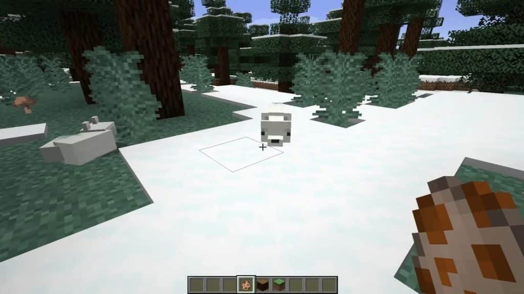 Everything You Need to Know About Minecraft Foxes