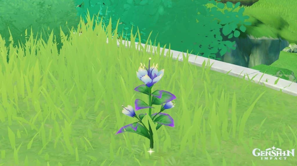 Padisarah Genshin Impact Farming Location and Route