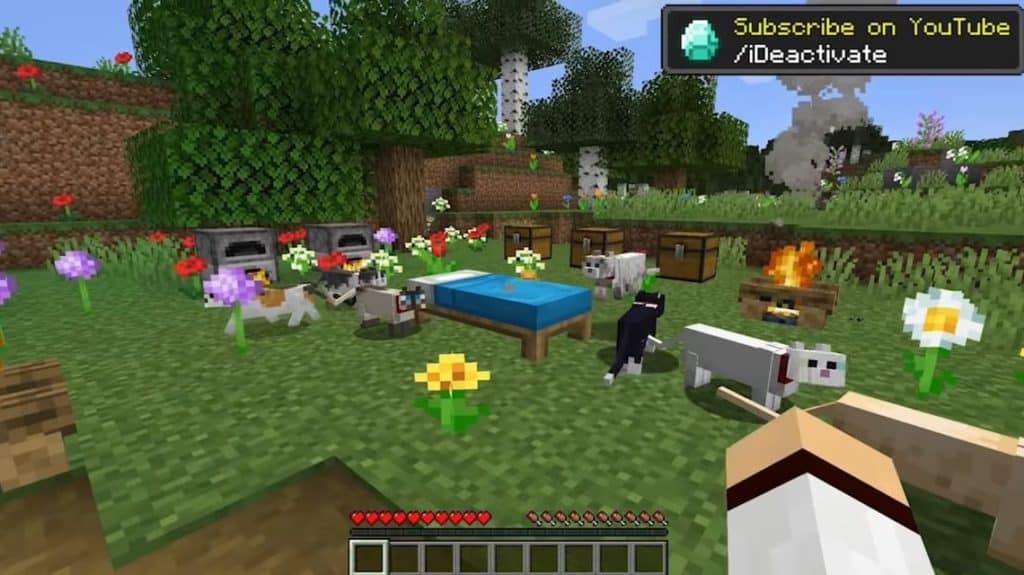 Semua yang Harus Kamu Tahu Tentang Kucing Minecraft