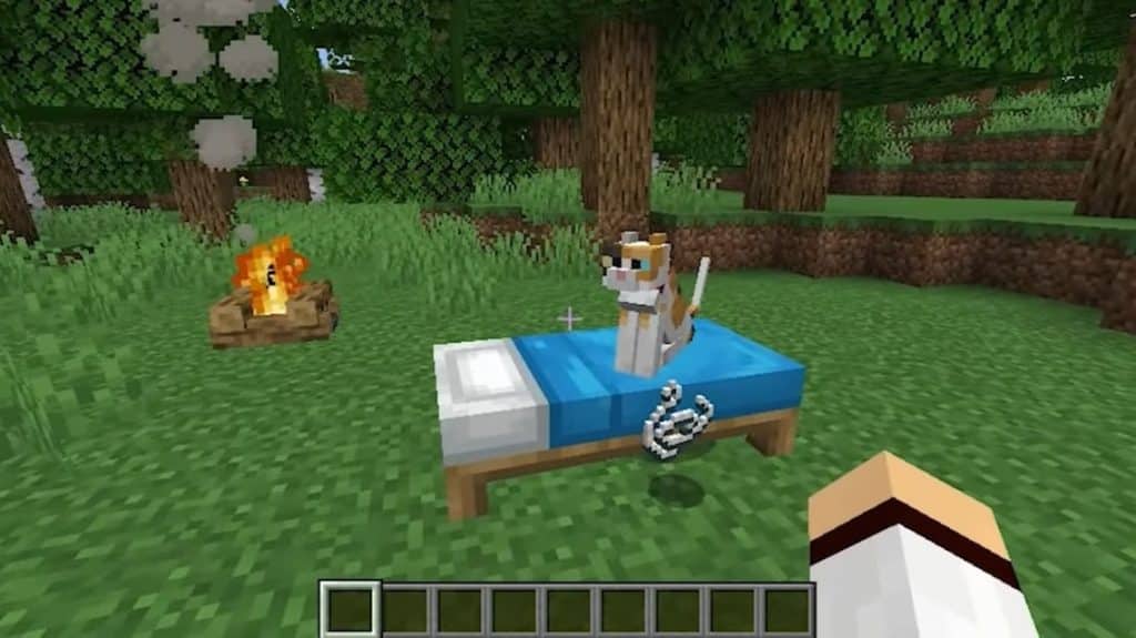 Semua yang Harus Kamu Tahu Tentang Kucing Minecraft