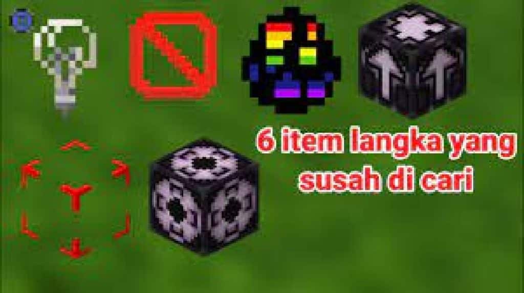 5 Most Wanted Rare Minecraft Items, You Must Have!