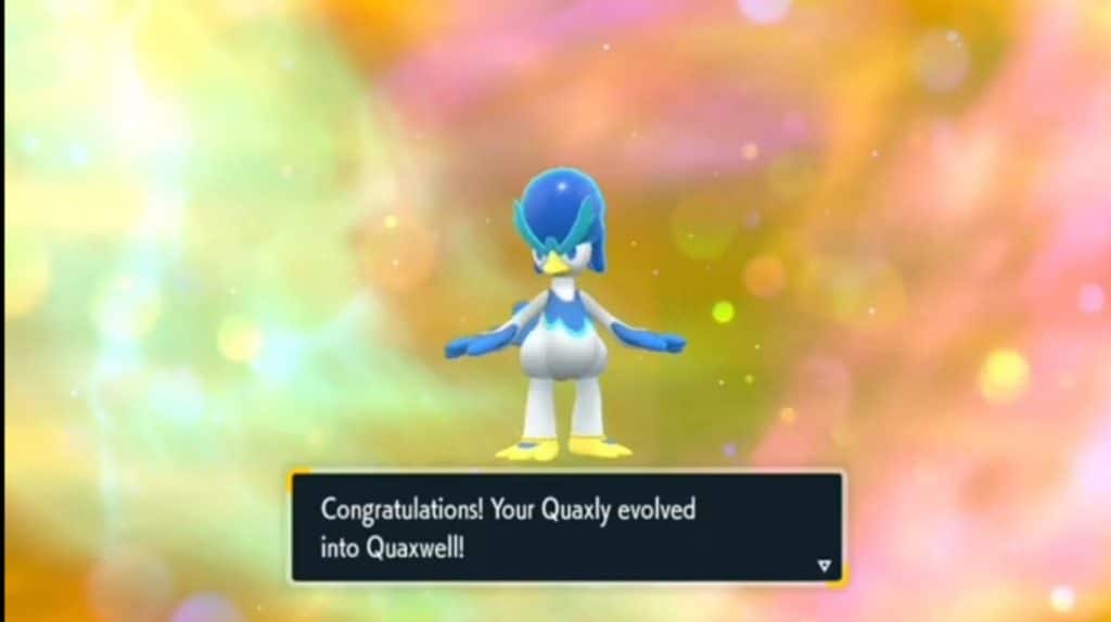 Guide About Quaxly Evolution in Pokemon Scarlet and Violet