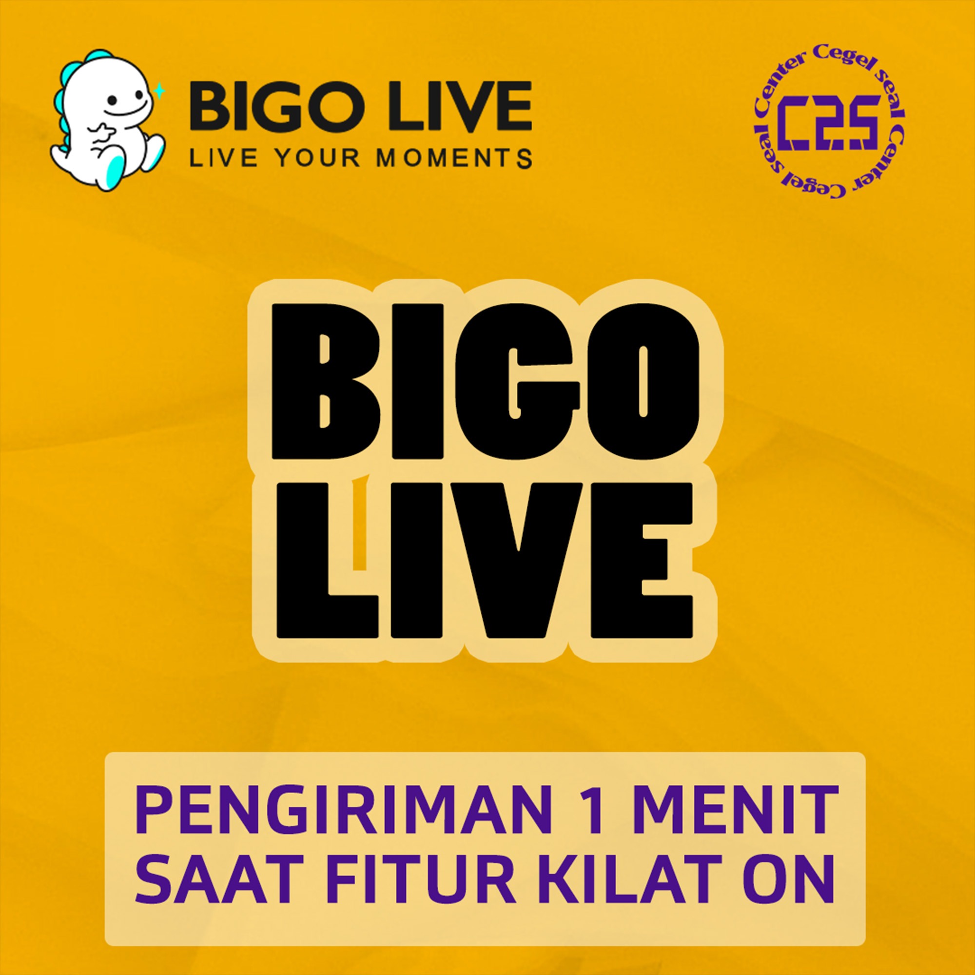 Jual 24.000 Diamonds Bigo Live Center Cegel Seal | VCGamers