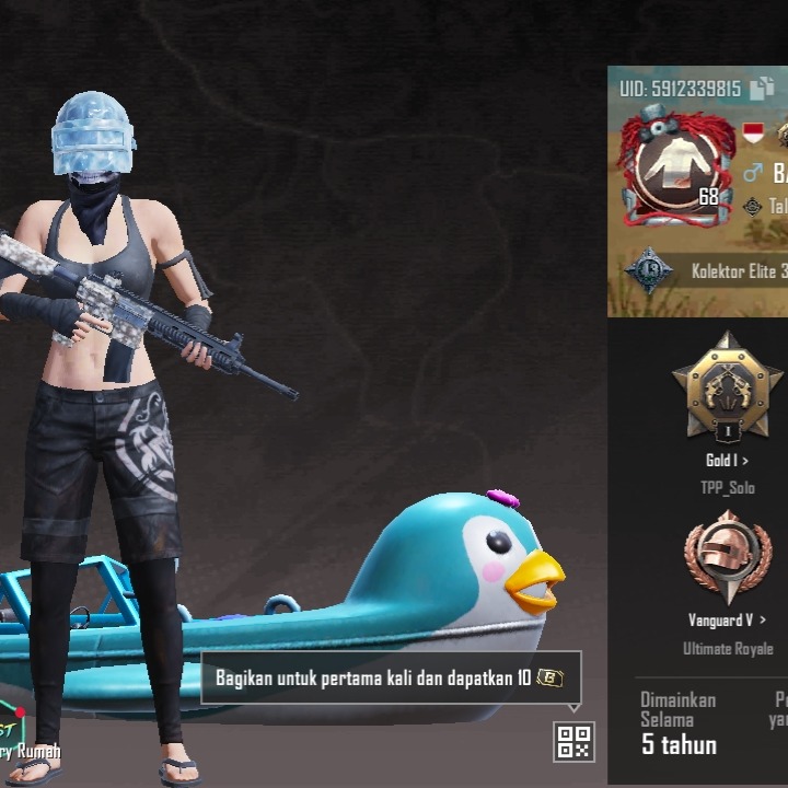 Jual AKUN PUBG ALL SAFE MURAH Free Fire YUI STORE | VCGamers